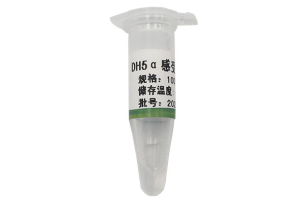 DH 5α感受态细胞类产品,杭州新景生物试剂开发有限公司,核酸纯化专家,Simgen