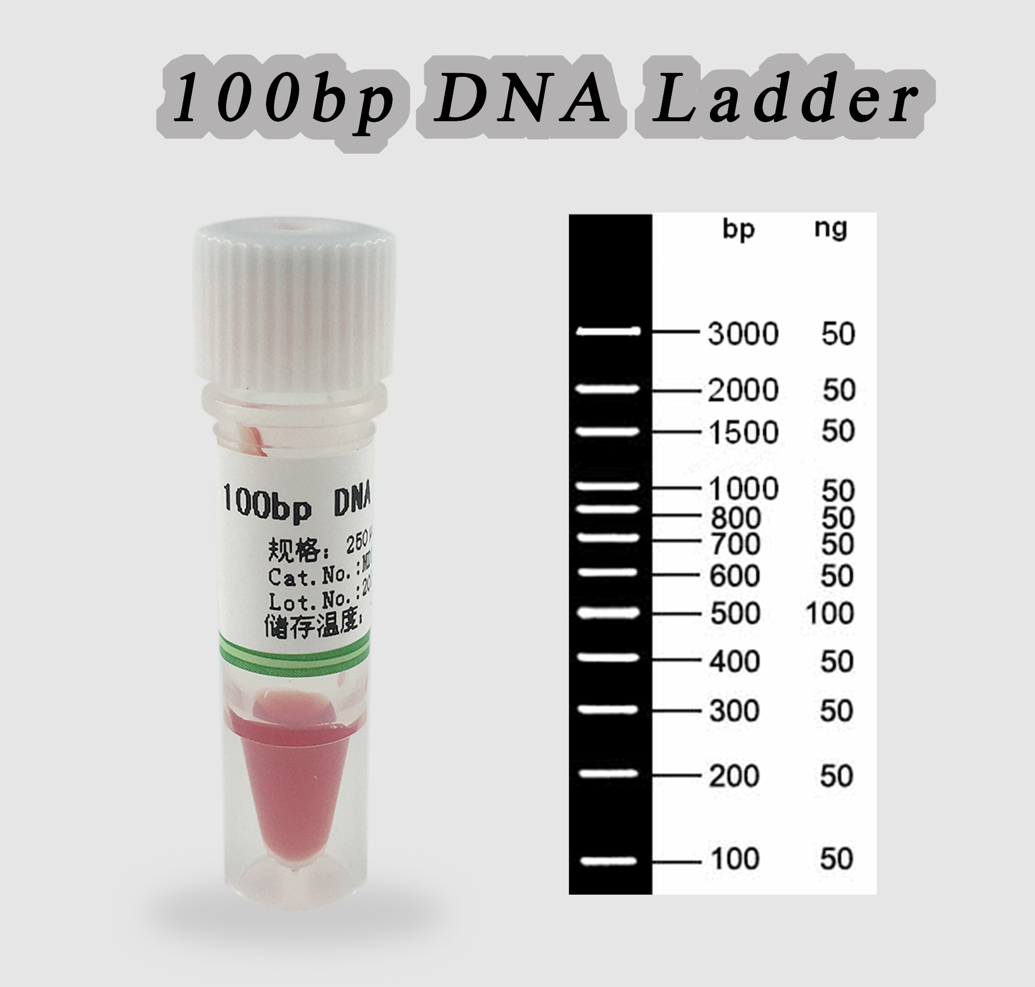 长度100bp-5000bp类产品,杭州新景生物试剂开发有限公司,核酸纯化专家,Simgen