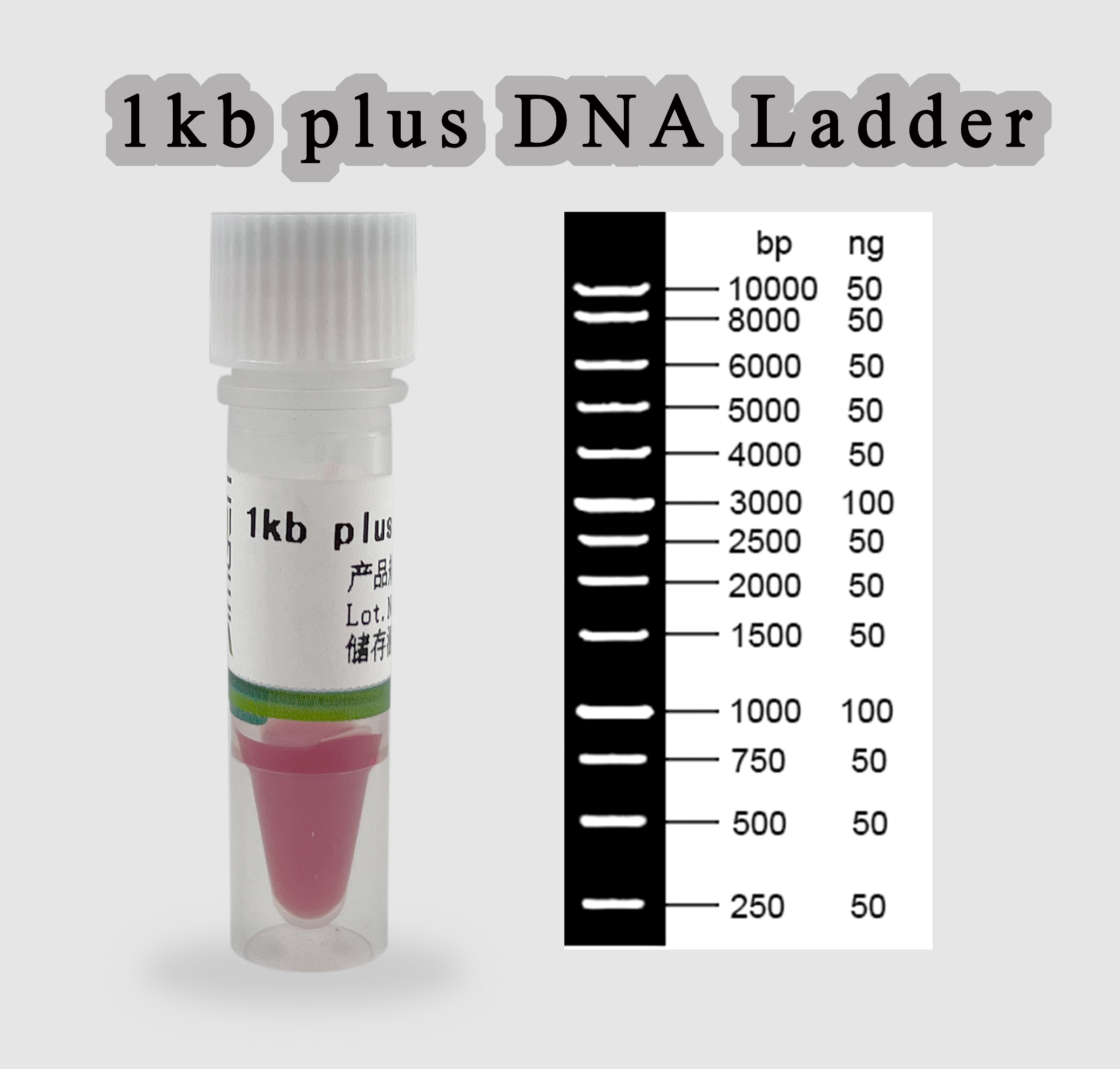 1 kb plus DNA Ladder,MD1005/MD1105,杭州新景生物试剂开发有限公司,核酸纯化专家,Simgen