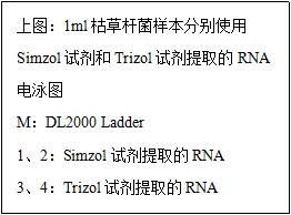 Simzol试剂,5302100/5302200,杭州新景生物试剂开发有限公司,核酸纯化专家,Simgen