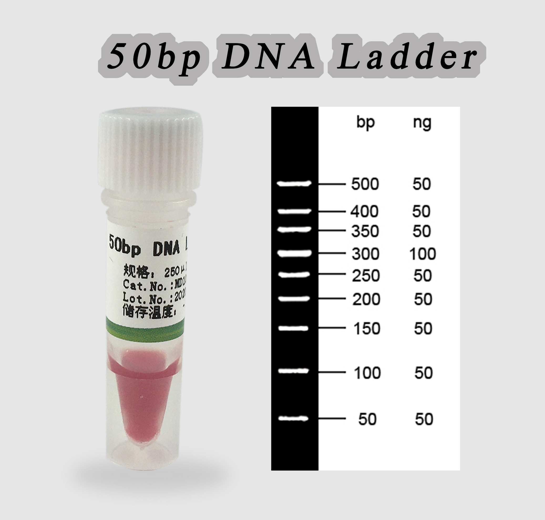 50bp DNA Ladder 质检文档 杭州新景生物试剂开发有限公司,核酸纯化专家,Simgen