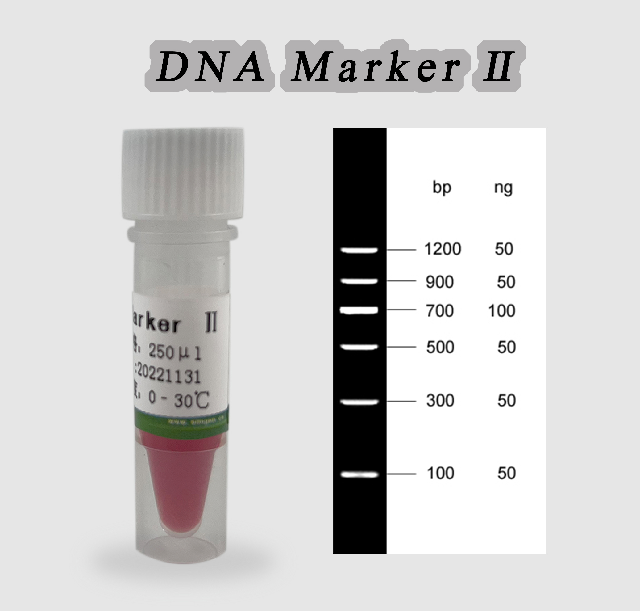 ,杭州新景生物试剂开发有限公司,核酸纯化专家,Simgen