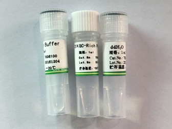 2×GC-Rich PCR Mix,适用于高GC片段PCR扩增、DNA的各种标记及基于PCR技术的基因扫描等,7006100 / ...