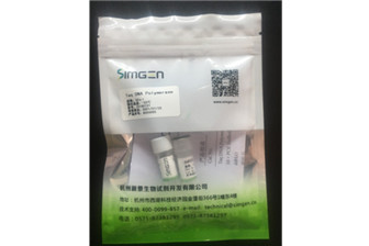 Taq 酶(Taq DNA Polymerase)论文引用杭州新景生物试剂开发有限公司,核酸纯化专家,Simgen
